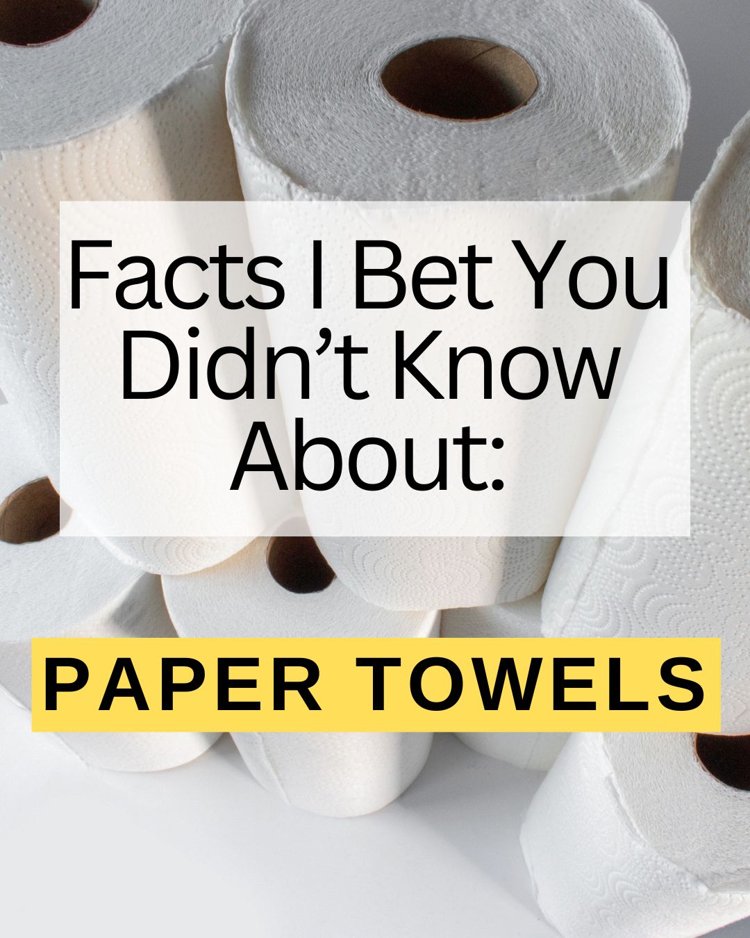 Facts I Bet You Didn't Know About Paper Towels – The Green Collective