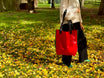 The ENCORE Tote - 4 sizes (multiple colour options) – The Green Collective